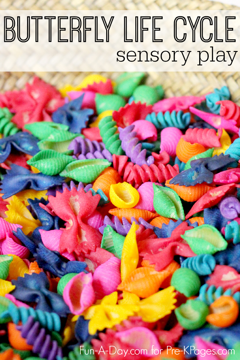 Butterfly Life Cycle Sensory Bin Butterfly Life Cycle Sensory Bin