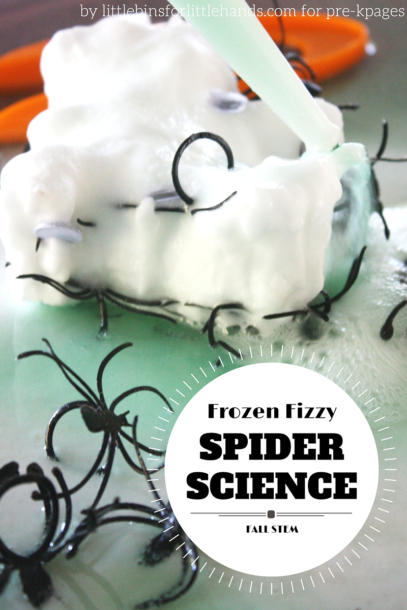 Spider Science Experiment spider-science-experiment