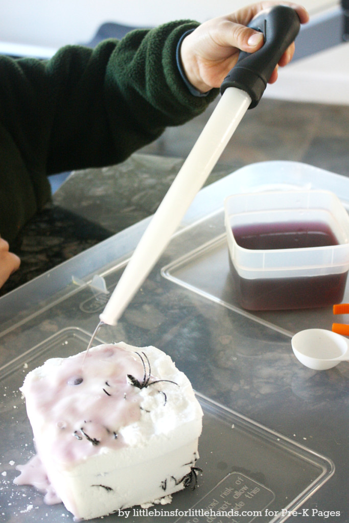 Spider Science Experiment spider-science-experiment