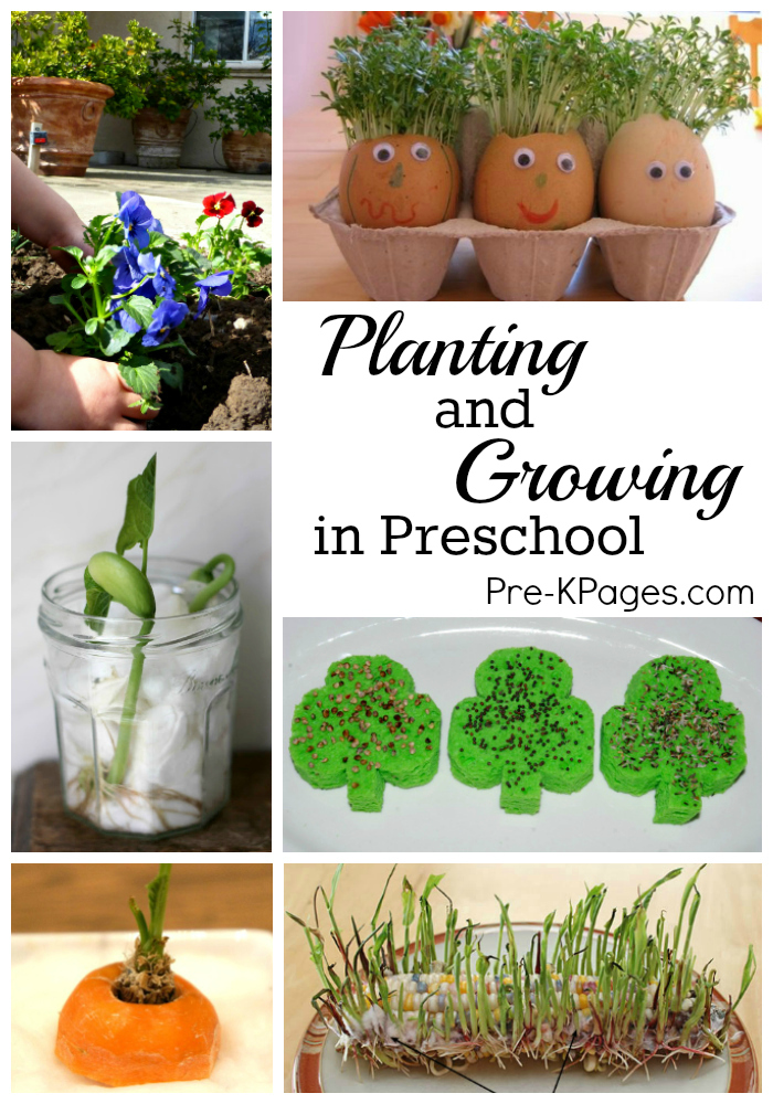 Kindergarten Planting Unit