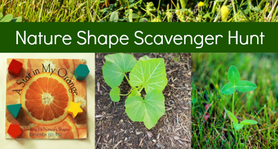 Nature Shape Scavenger Hunt - Pre-K Pages