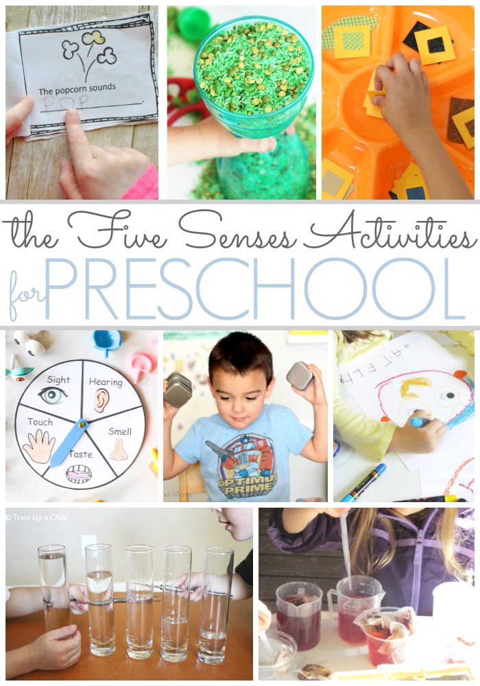 Preschool Activities That Feature The Five Senses Pre K Pages Preschool Activities That Feature The Five Senses Pre K Pages