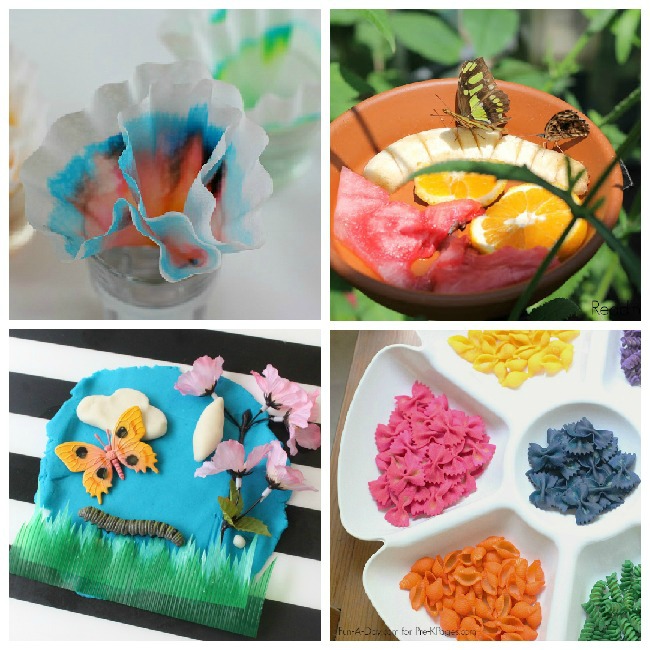 Butterfly Activities For Preschoolers Pre K Pages