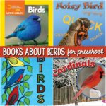 20 Best Bird Books For Preschool Kids To Read About