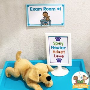 Vet Animal Hospital Dramatic Play